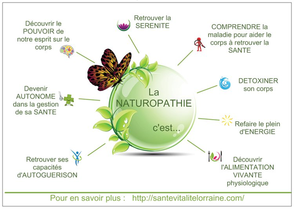 C’est quoi la NATUROPATHIE ? – Naturopathie