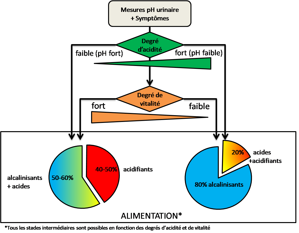 L’Equilibre acido-basique : Guide complet – Liste d’aliments ...